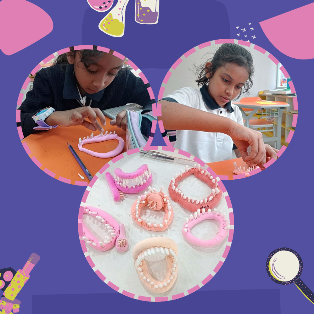 Grade 2 Students at TPIS Explore the Fascinating World of Teeth! – TPIS ...