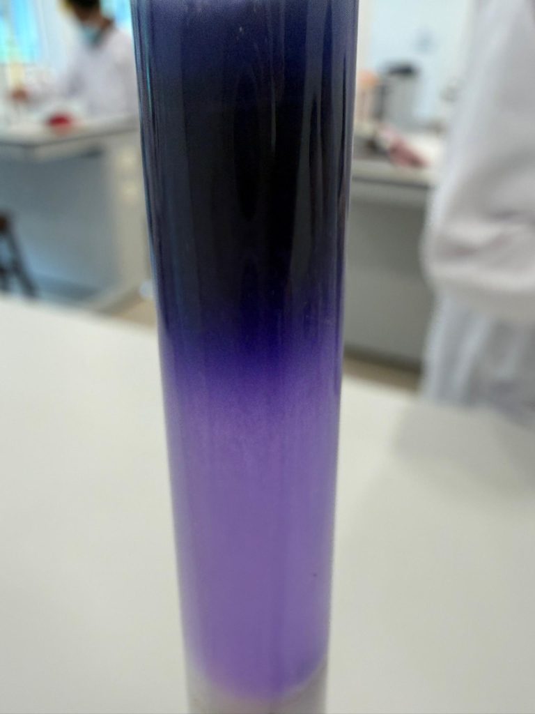 Chemistry Comes to Life: Exploring Reaction Rates in Grade 9! – TPIS ...